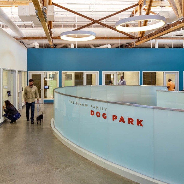 MADDIE'S ADOPTION CENTER - KSHA